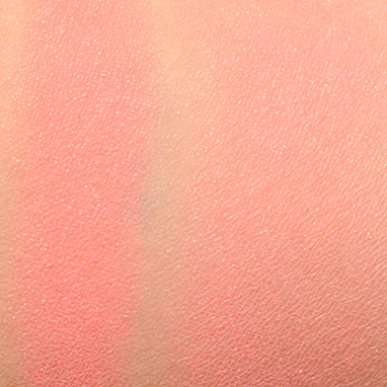 Best Coral Blush • Top Recommendations with Swatches