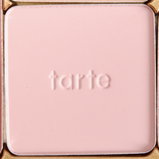 Tarte Pink Outside the Box Amazonian Clay Eyeshadow Review & Swatches
