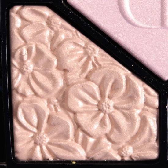 Dior Rose Garden (451) Eyeshadow Palette Review, Photos, Swatches