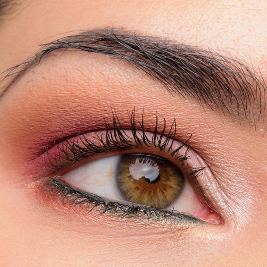 Anastasia Modern Renaissance Eyeshadow Palette Review & Swatches