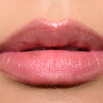 Sunday Funday: 21 x MAC Permanent Lipstick Swatches