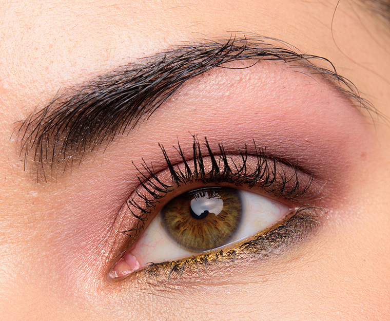 YSL Paris (03) 10-Color Eye Palette Review & Swatches