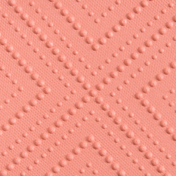 Essence Satin Coral Satin Touch Blush Review & Swatches