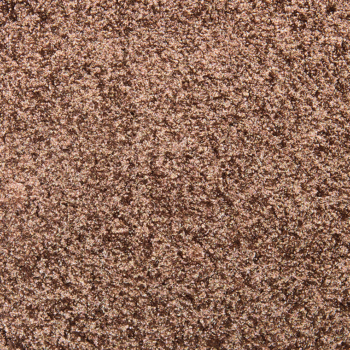 L'Oreal Bronzed Taupe Infallible 24-Hour Eyeshadow Review & Swatches