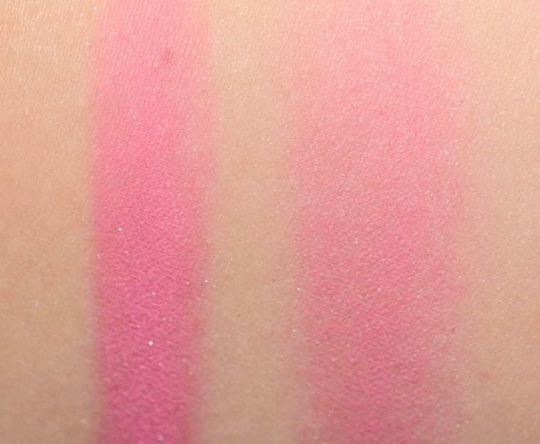 Wet 'n' Wild Fantastic Plastic Pink Color Icon Blush Review & Swatches