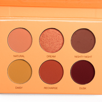 Coloured Raine Beauty Rust Mini Eyeshadow Palette Review, Photos, Swatches