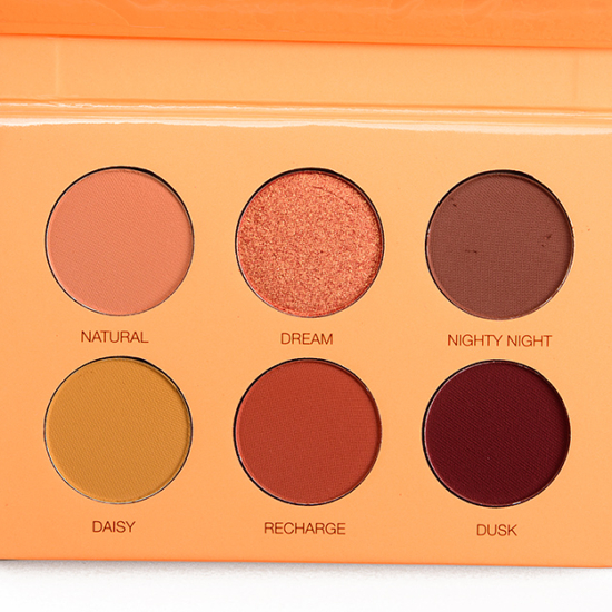 Coloured Raine Beauty Rust Mini Eyeshadow Palette Review, Photos, Swatches