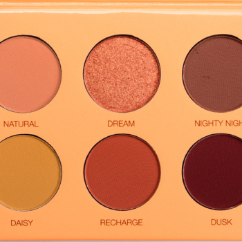 Coloured Raine Beauty Rust Mini Eyeshadow Palette Review, Photos, Swatches