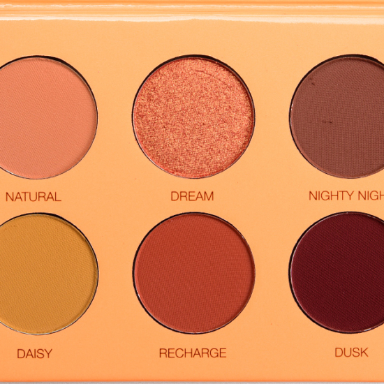 Coloured Raine Beauty Rust Mini Eyeshadow Palette Review, Photos, Swatches