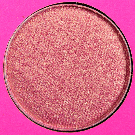 Sneak Peek: Coloured Raine Mini Eyeshadow Palettes Photos & Swatches