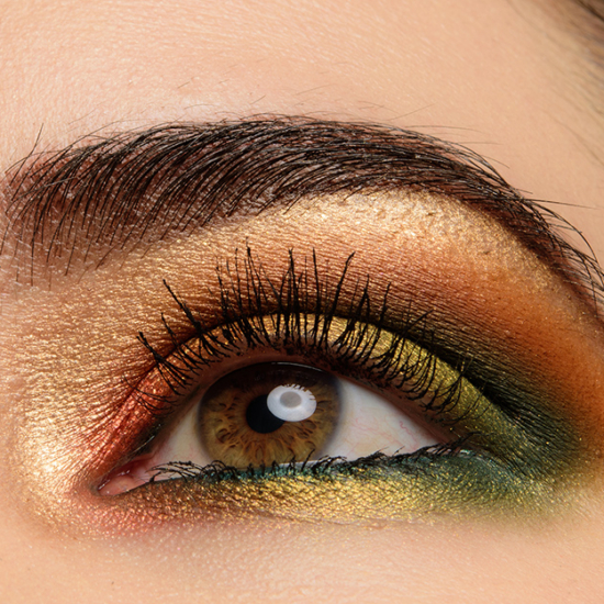 Coloured Raine Safari Raine Eyeshadow Palette Review & Swatches