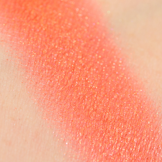 Coloured Raine Safari Raine Eyeshadow Palette Review & Swatches