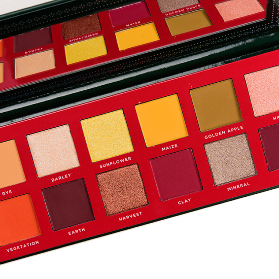 Ace Beaute Eyeshadow Palettes | Swatches