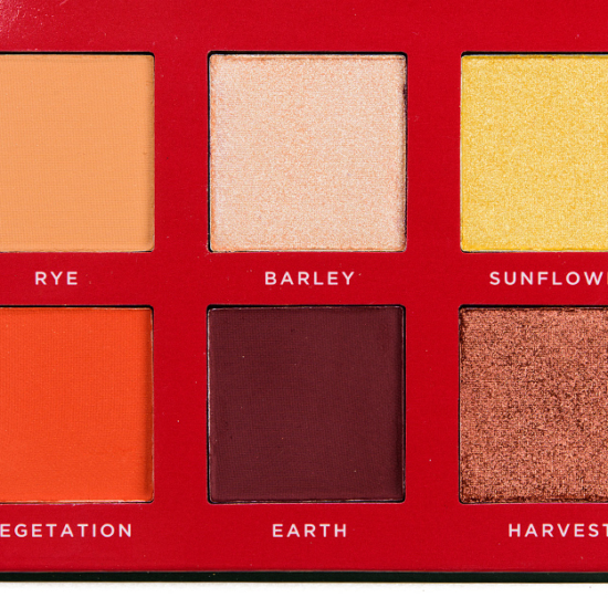 Ace Beaute Eyeshadow Palettes | Swatches