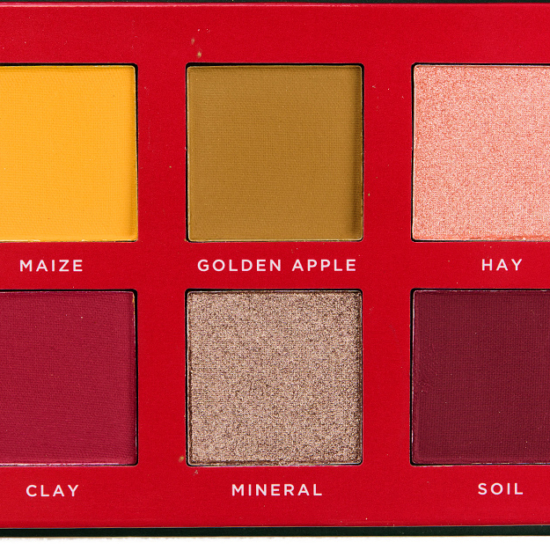 Ace Beaute Eyeshadow Palettes | Swatches