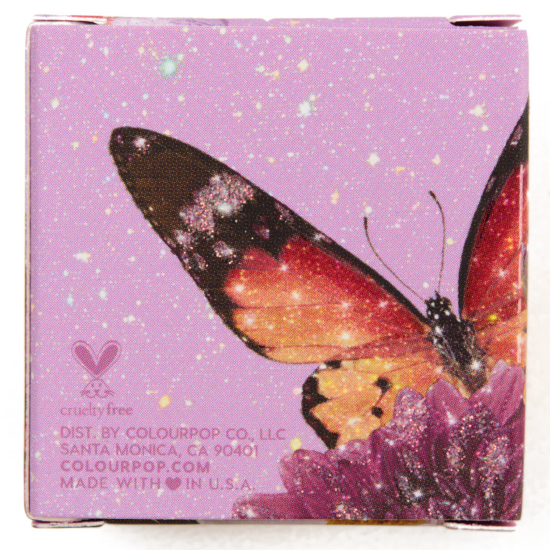 ColourPop Boo-kay Jelly Much Eyeshadow Review & Swatches