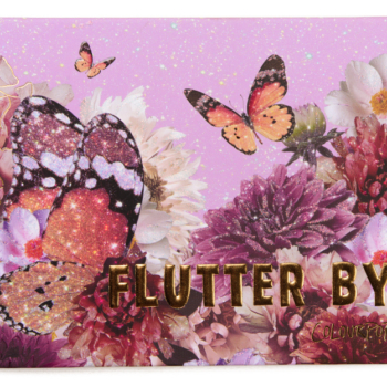 ColourPop Flutter By Eyeshadow Palette Review & Swatches