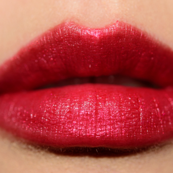 Chanel Camelia Rouge Metal & Camelia Pourpre Rouge Allure Lip Colours ...