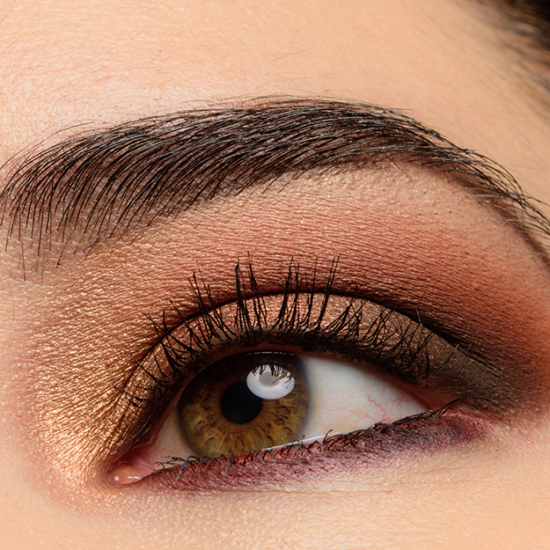 Melt Cosmetics Rust Eyeshadow Palette (2020) Review & Swatches