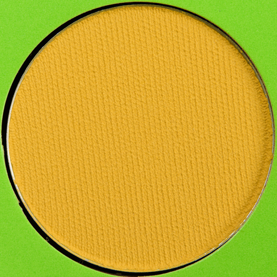 Coloured Raine Ginger Bae vs ColourPop Stinger Dupe Comparison