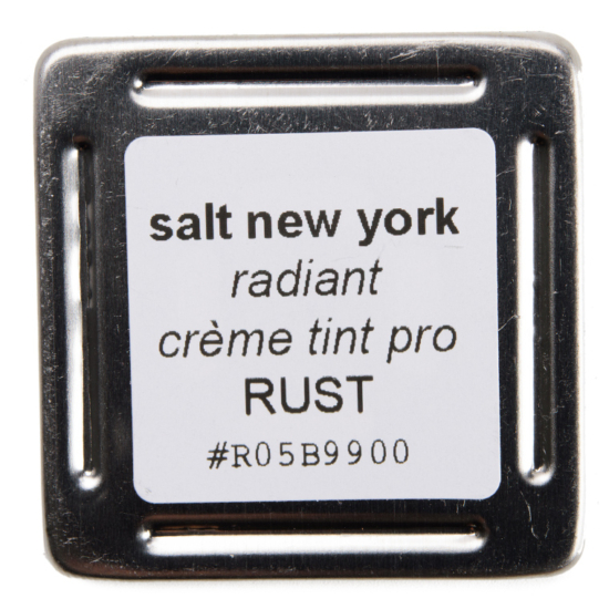 Salt New York Rust Radiant Crème Tint Pro Review & Swatches