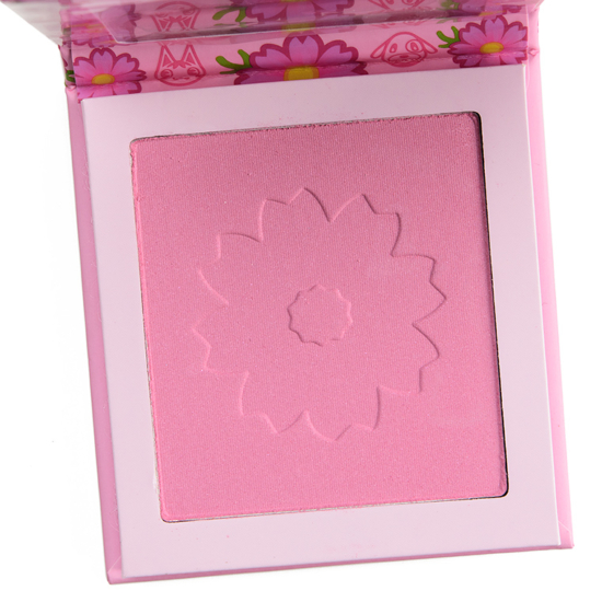 ColourPop Flower Power Pressed Powder Blush Review & Swatches