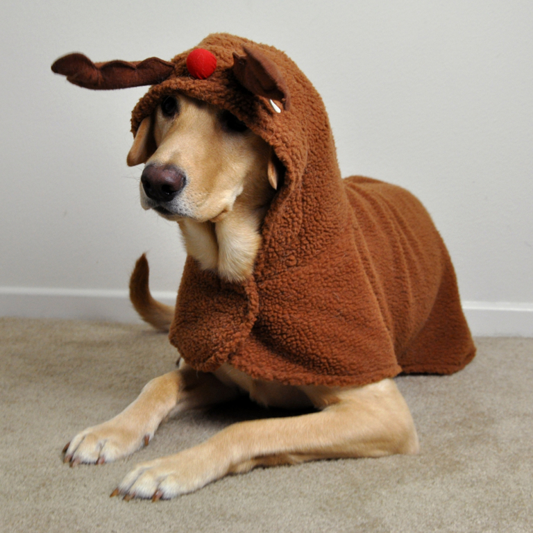 Friday Finds & Check-ins, Volume #588