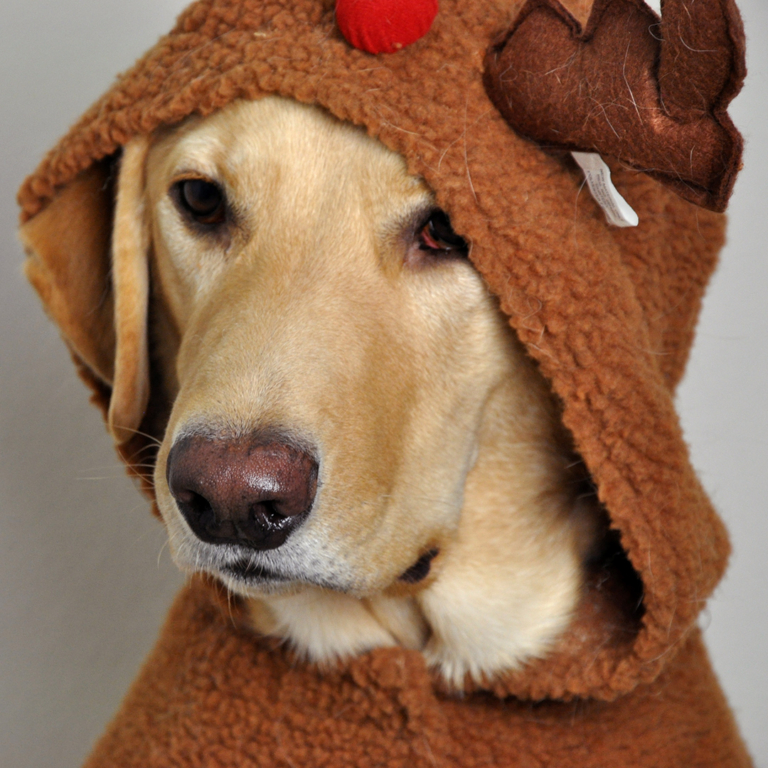 Friday Finds & Check-ins, Volume #588