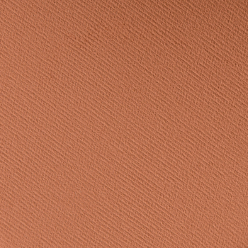 Coloured Raine Charming Chai Bronzer Review & Swatches