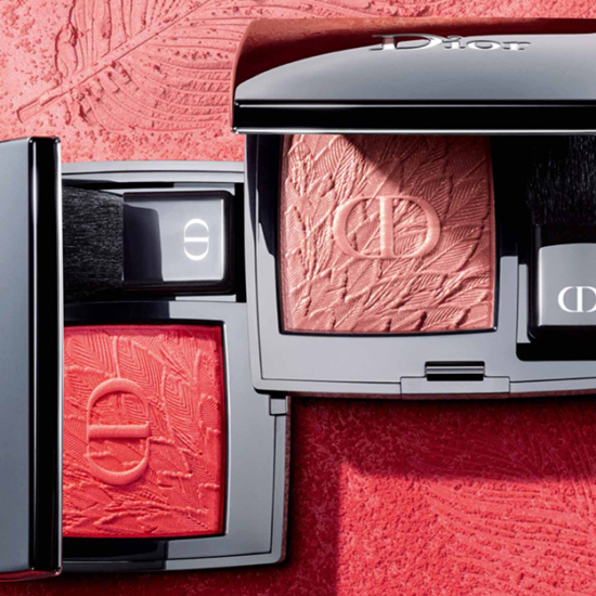 Dior Birds of a Feather Collection for Fall 2021