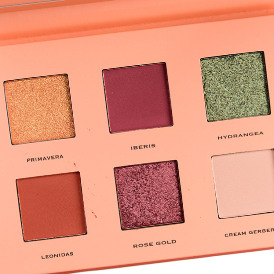 Coloured Raine Botanical Eyeshadow Palette Review & Swatches