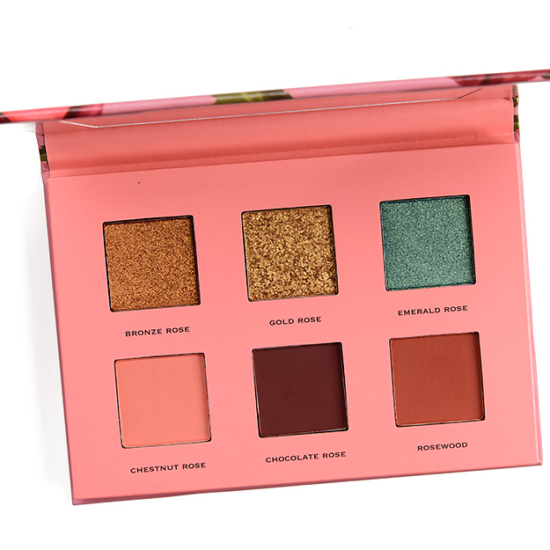 Coloured Raine Botanical Collection Swatches