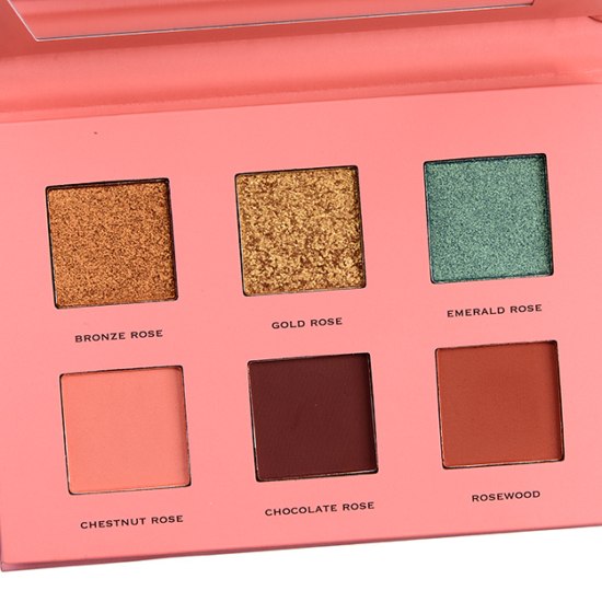 Coloured Raine Rose Garden Pressed Pigment Palette Review & Swatches