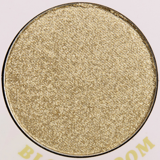 ColourPop Daisy Does It Collection