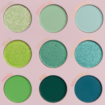 ColourPop New Money 9-Pan Pressed Powder Palette Review & Swatches