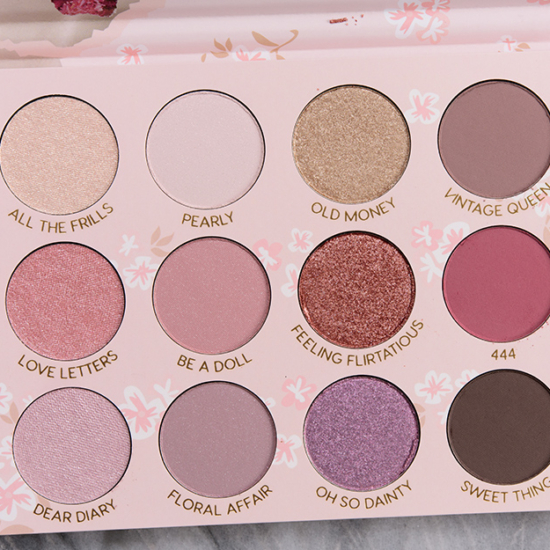 ColourPop Pretty Please 12-Pan Pressed Powder Shadow Palette Review ...