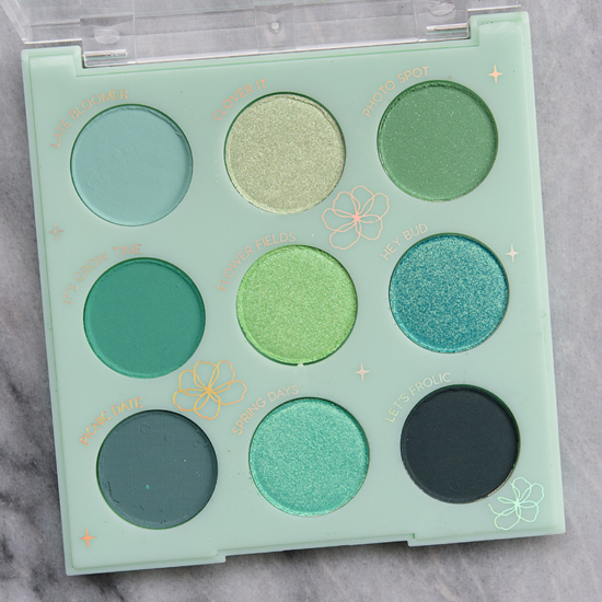 ColourPop Super Bloom Palette Review & Swatches