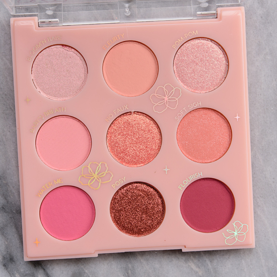 ColourPop 4Ever Floral Palette Review & Swatches
