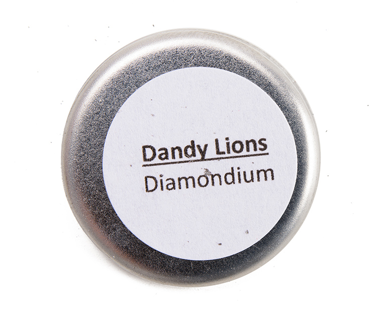 Dandy Lions Diamondium Shimmer Eyeshadow Review & Swatches