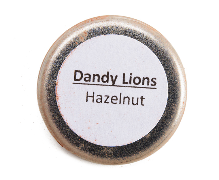 Dandy Lions Hazelnut Matte Eyeshadow Review & Swatches