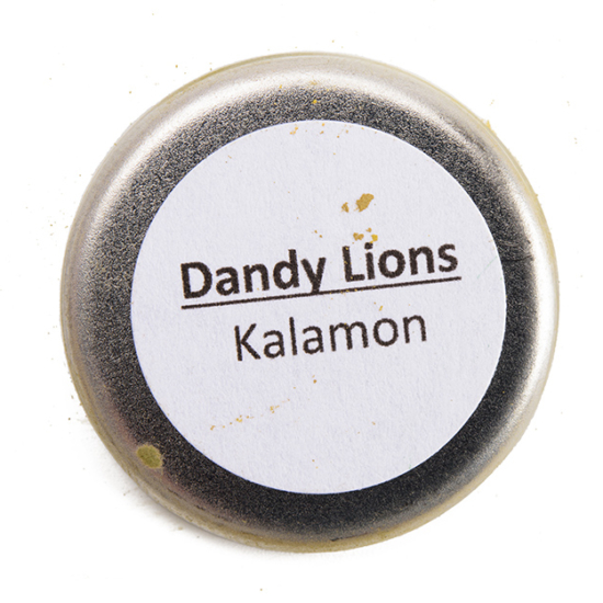 Dandy Lions Kalamon Matte Eyeshadow Review & Swatches