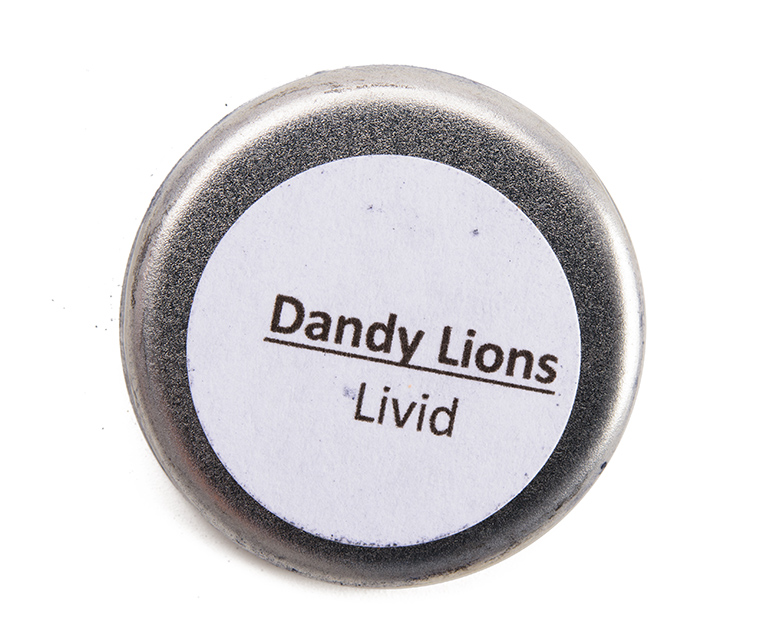 Dandy Lions Livid Matte Eyeshadow Review & Swatches