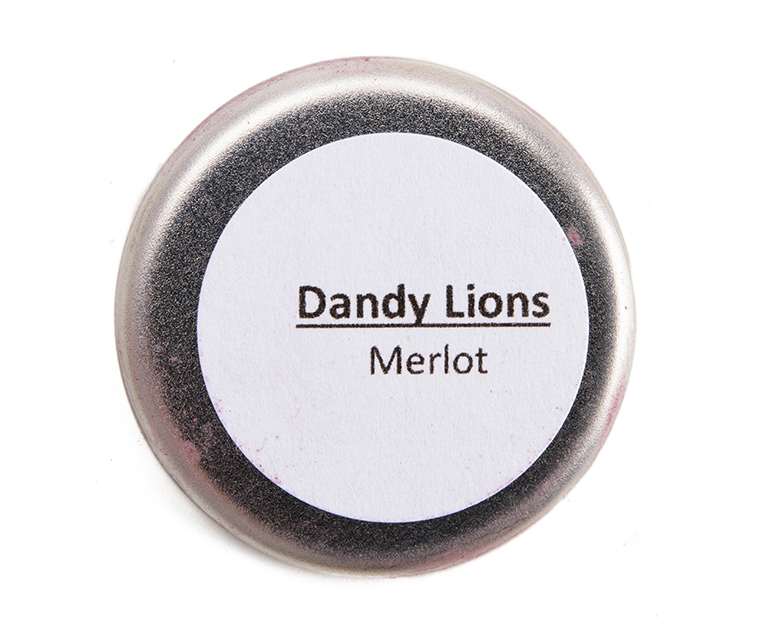 Dandy Lions Merlot Matte Eyeshadow Review & Swatches
