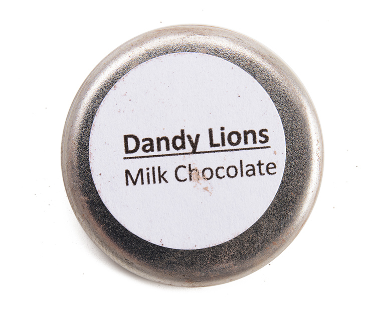 Dandy Lions Milk Chocolate Matte Eyeshadow Review & Swatches