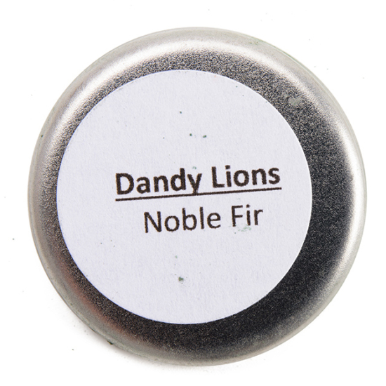 Dandy Lions Noble Fir Matte Eyeshadow Review & Swatches