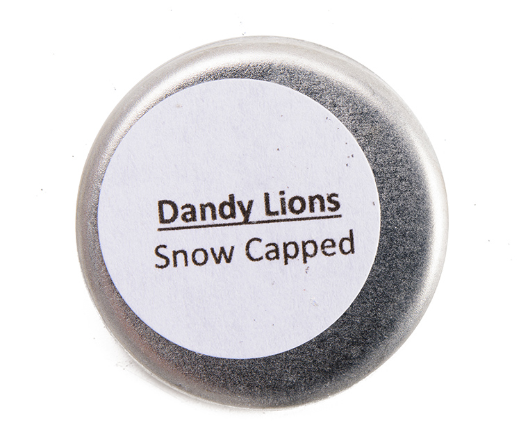 Dandy Lions Snow Capped Shimmer Eyeshadow Review & Swatches