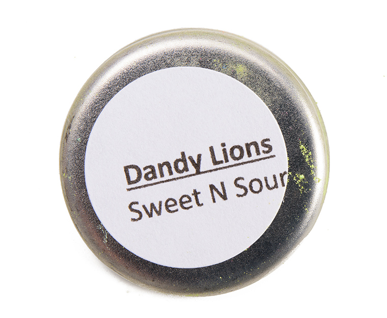 Dandy Lions Sweet N Sour Shimmer Eyeshadow Review & Swatches