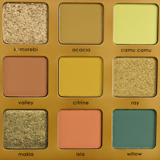 Natasha Denona Yucca 15-Pan Small Eyeshadow Palette Review & Swatches