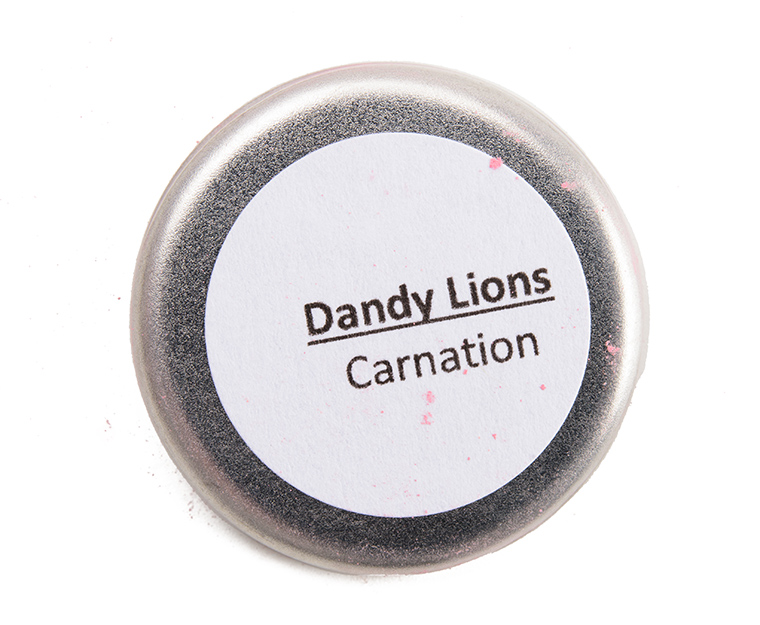 Dandy Lions Carnation Matte Eyeshadow Review & Swatches