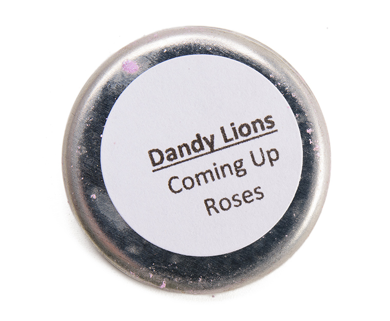 Dandy Lions Coming Up Roses Shimmer Eyeshadow Review & Swatches